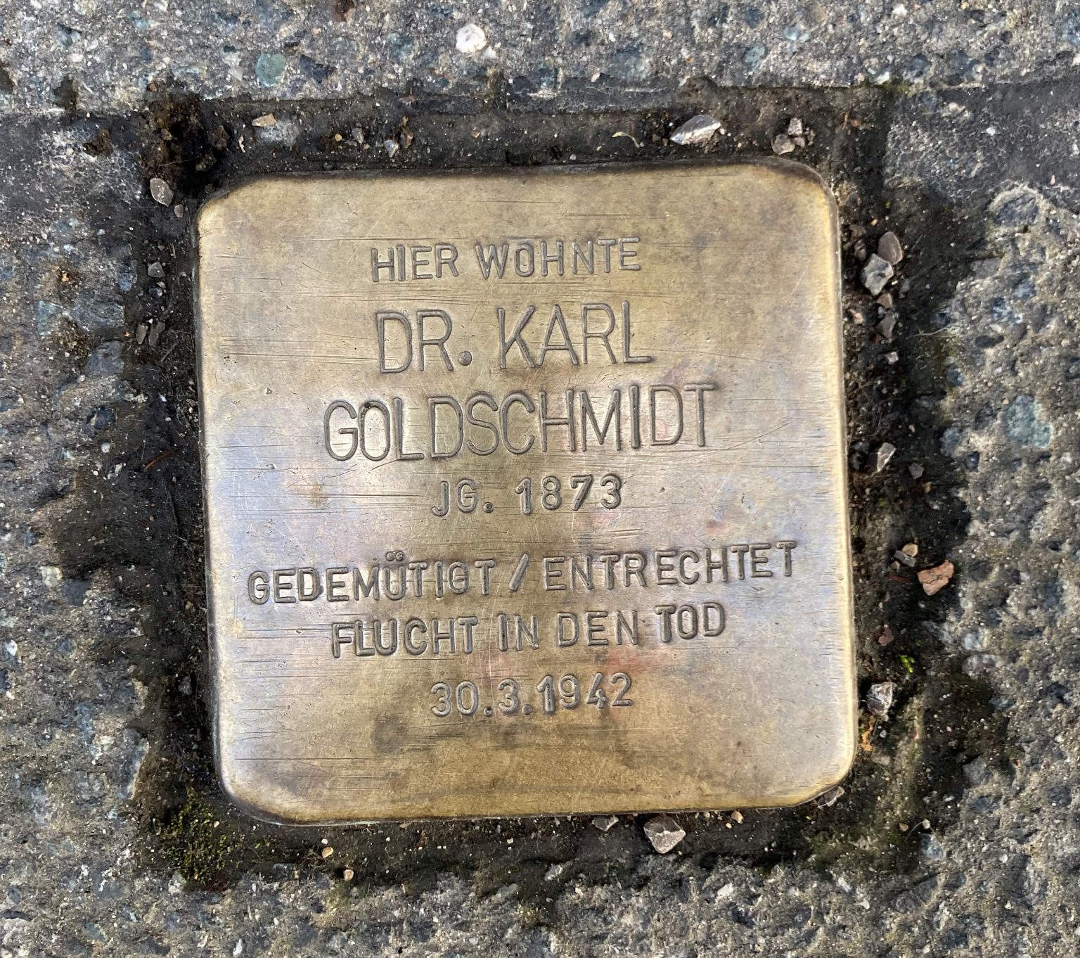 Dr. Karl Goldschmidt – Stolpersteine Mainz